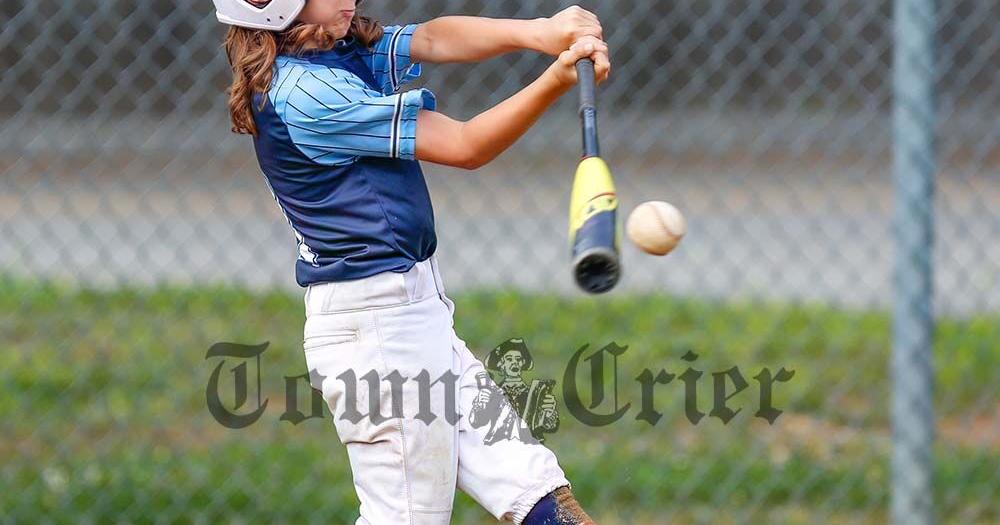 9U baseball team finishes memorable summer: Wildcats won their division ...