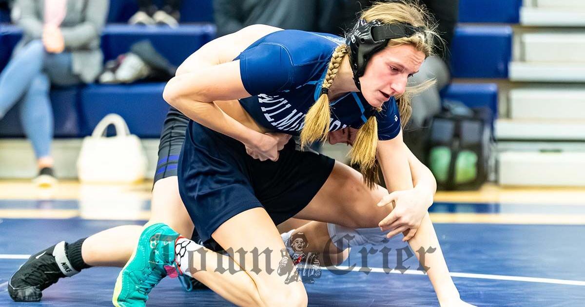 Four WHS wrestlers advance to all-state meet: Bryson captures girls ...