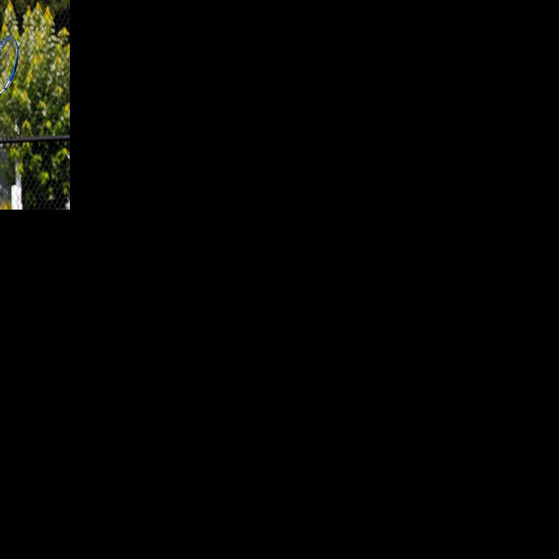 Stoneham Independent | homenewshere.com