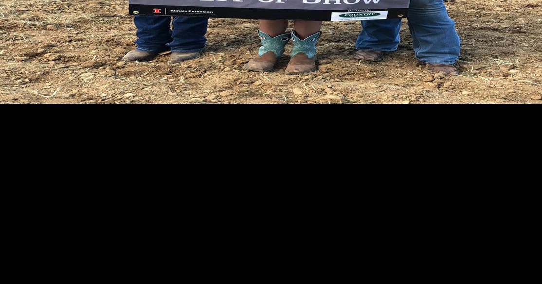 4-H youth show their progress at Wabash Jr. Fair | | hometownregister.com