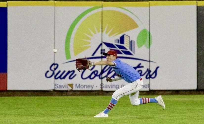 Effingham St. Anthony Bulldogs turned into state baseball champions ...