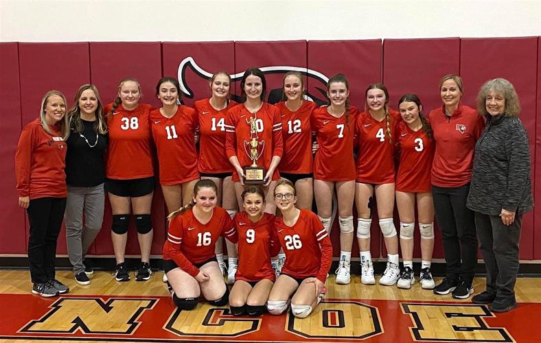 Two local teams headed to State volleyball | Local Sports ...