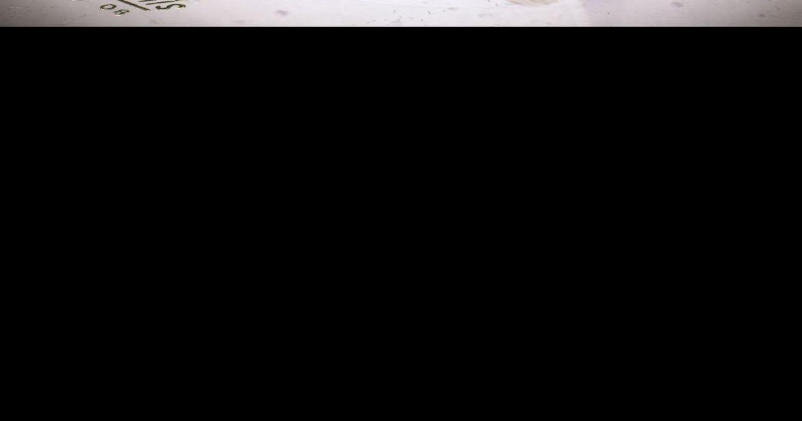 Obituary: Rose Mary Seibert | Obituaries | hometownregister.com