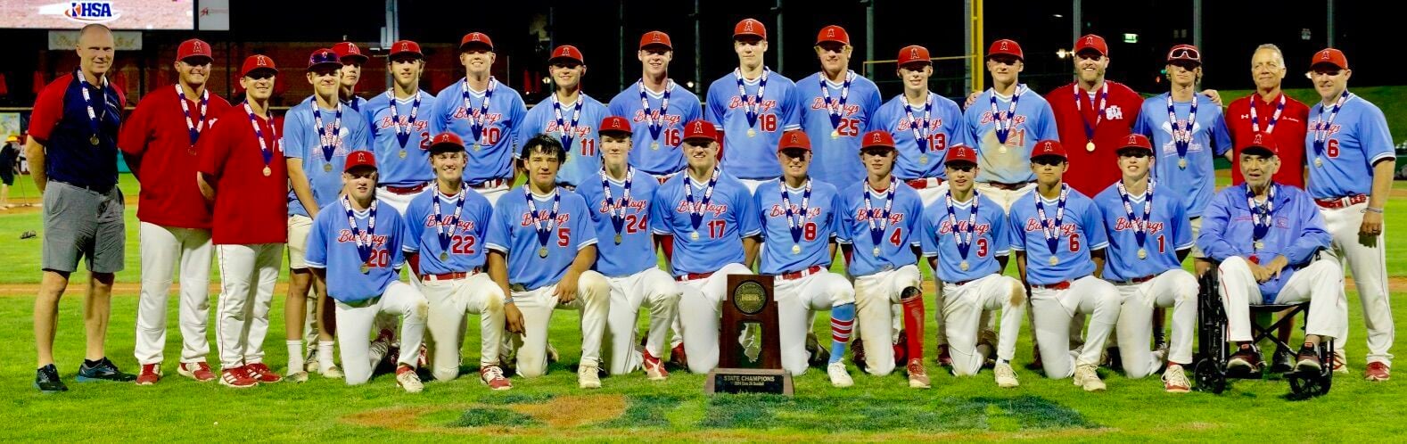 Effingham St. Anthony Bulldogs turned into state baseball champions ...