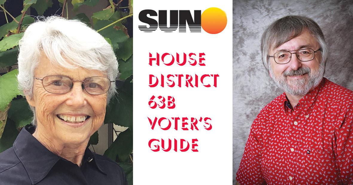 Voters Guide Questions House Representative Districts 63b Sun Current