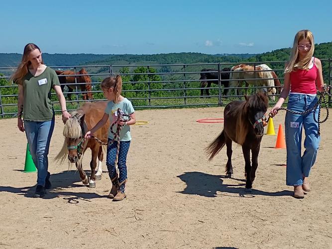A day camp at Windy Ridge Ranch | Caledonia | hometownsource.com