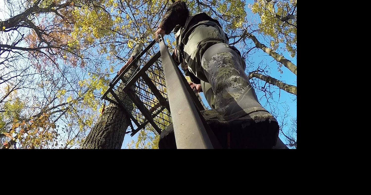 As gun deaths drop, tree-stand falls emerge as top hunting danger | Elk ...