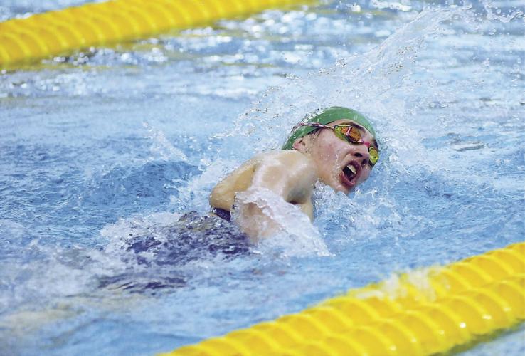 Irish swim and dive team closes its best season since 2017 | Sports ...