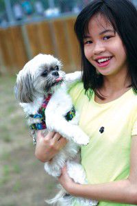Finding a safe home: Local Shih Tzu rescue organization saves 20 dogs ...