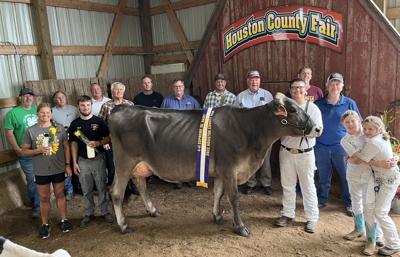 Houston County Holstein Club holds annual youth dairy auction ...