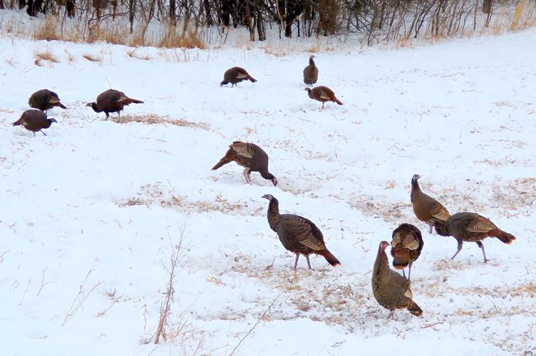 Lake life: The presents we all miss | News | hometownsource.com