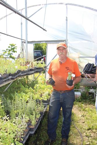 What's growing down at the farm | Sun This Week | hometownsource.com
