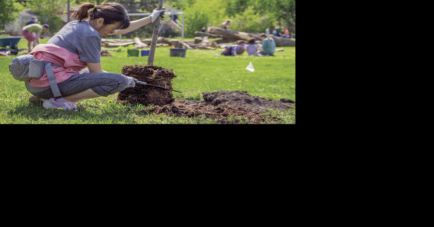 Plant it forward this Arbor Month | Monticello Times | hometownsource.com