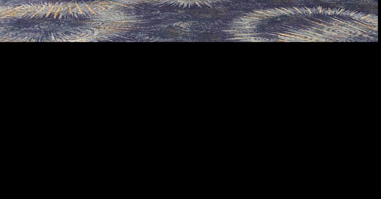 Eastview High School well represented at speech, debate tourney | Free | hometownsource.com