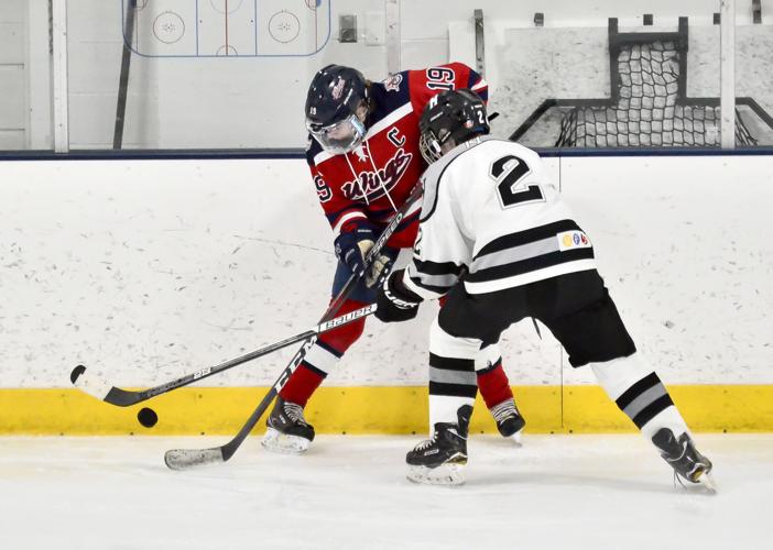 Armstrong/Cooper girls hockey: Wings’ season ends in 5A playoffs ...