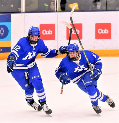 All-Lake boys hockey features Tonka, Edina, Wayzata | Sports ...