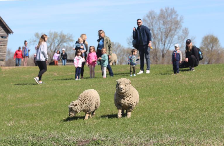 At historic Kelley Farm, a new season begins to unfold | Elk River Star ...