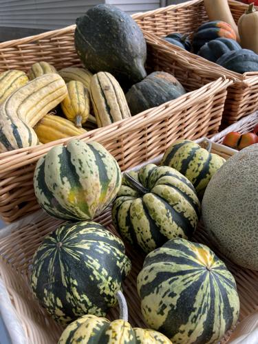 Kelley Farm donates more than 9,000 pounds of food to CAER | Elk River ...