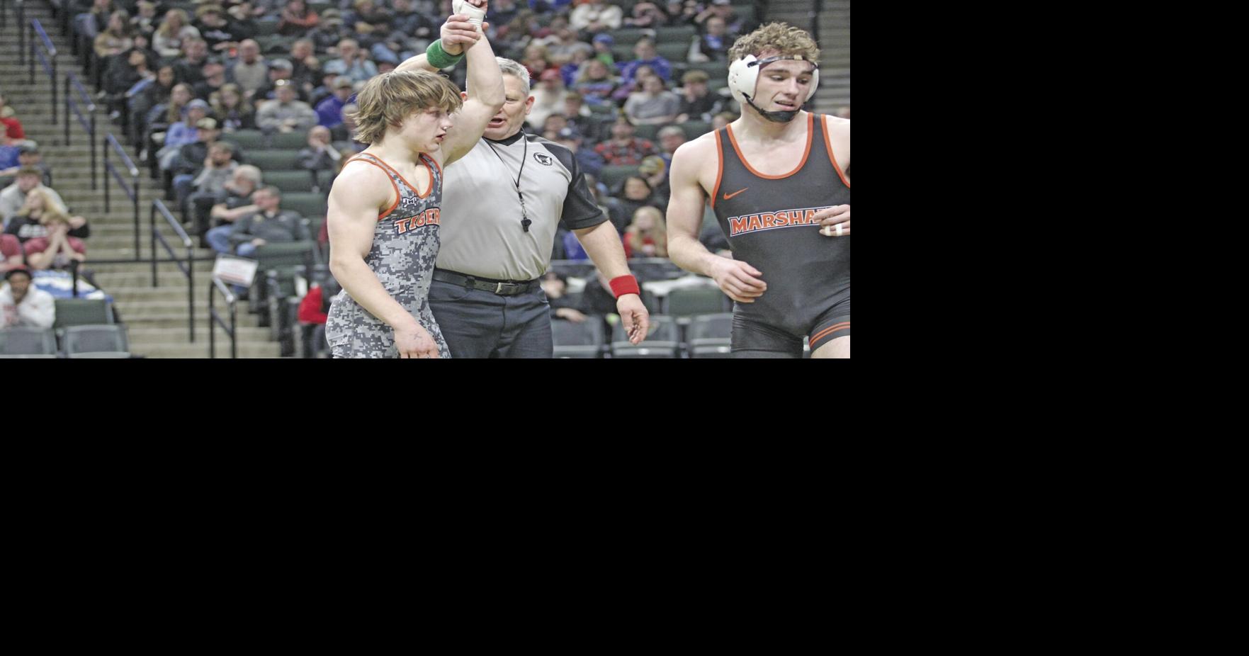 Princeton’s Tyler Wells earns his 4th state title | Community ...