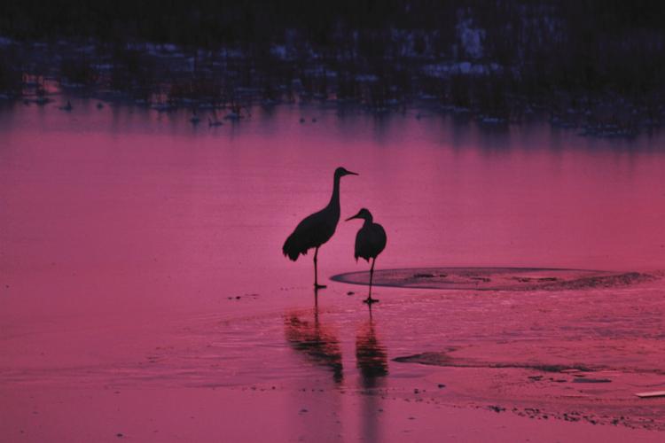 Blaine fall photo contest winners announced | Free | hometownsource.com