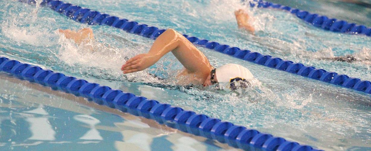 Hylander-Hawks take on section 5AA championships | Sports ...