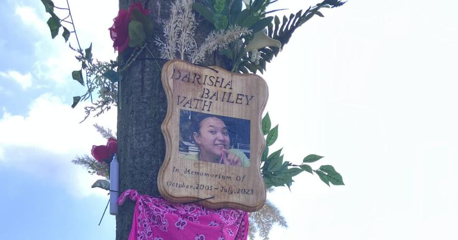 Charges upped in vehicular homicide case that killed Stacy teen | News ...