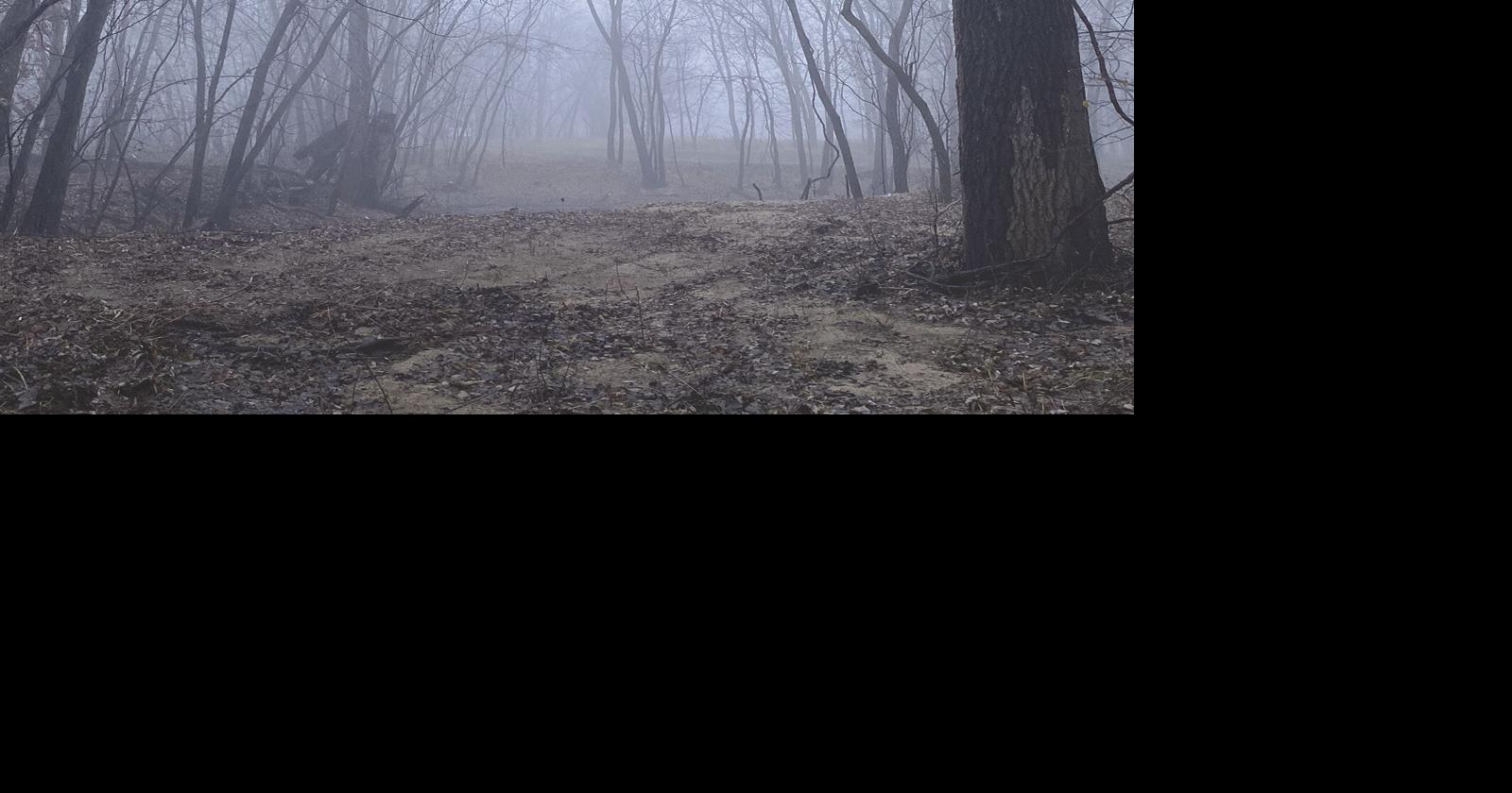 Princeton’s disc golf course gaining three new holes this year ...