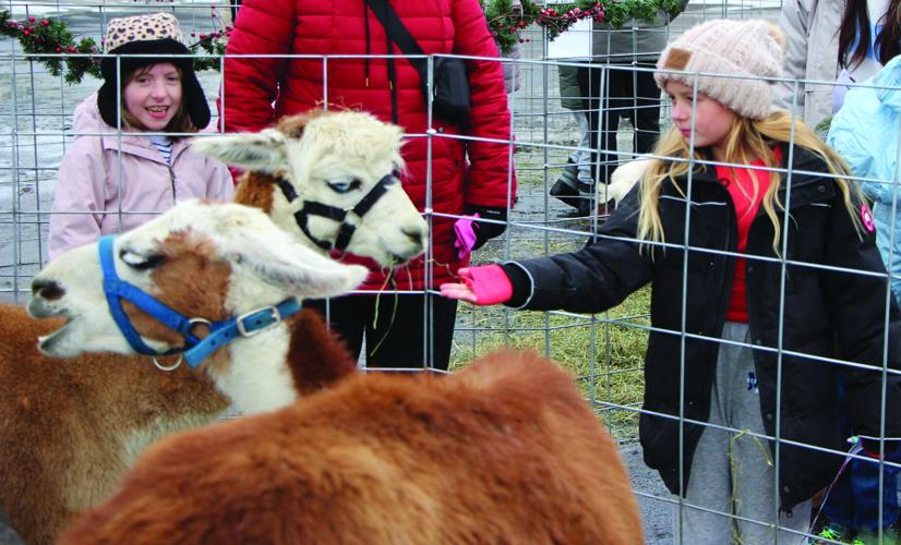 Holiday on Main makes memories in Lakeville | Free | hometownsource.com