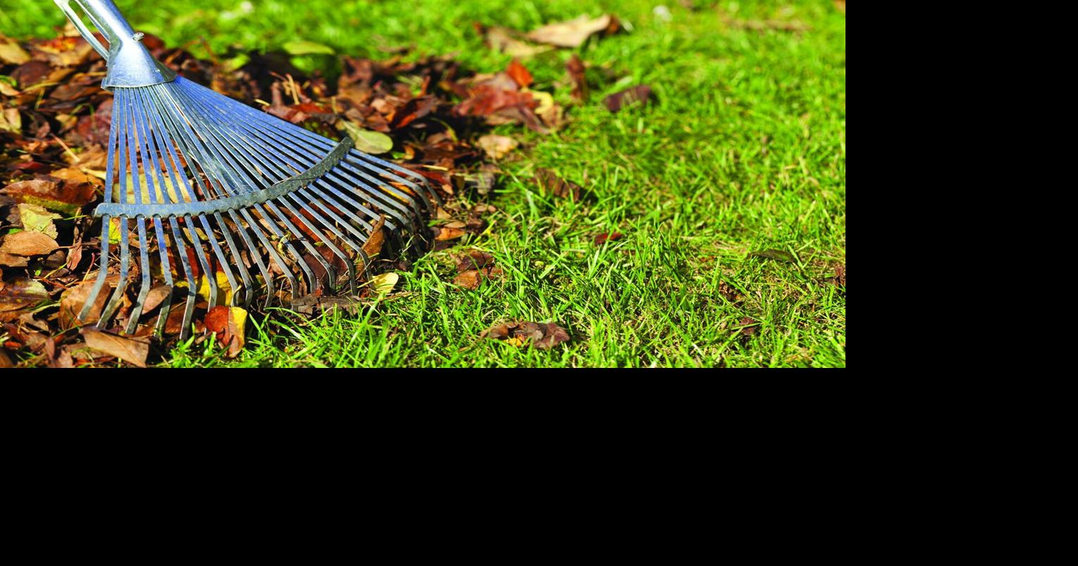 City's spring leaf pickup set May 3 | Monticello Times | hometownsource.com