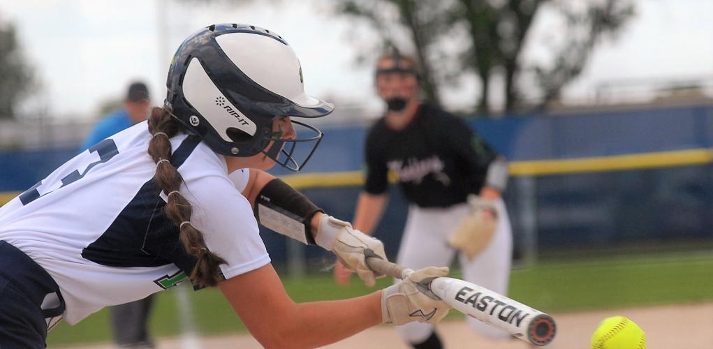 Irish take third at state softball tourney | Sports | hometownsource.com