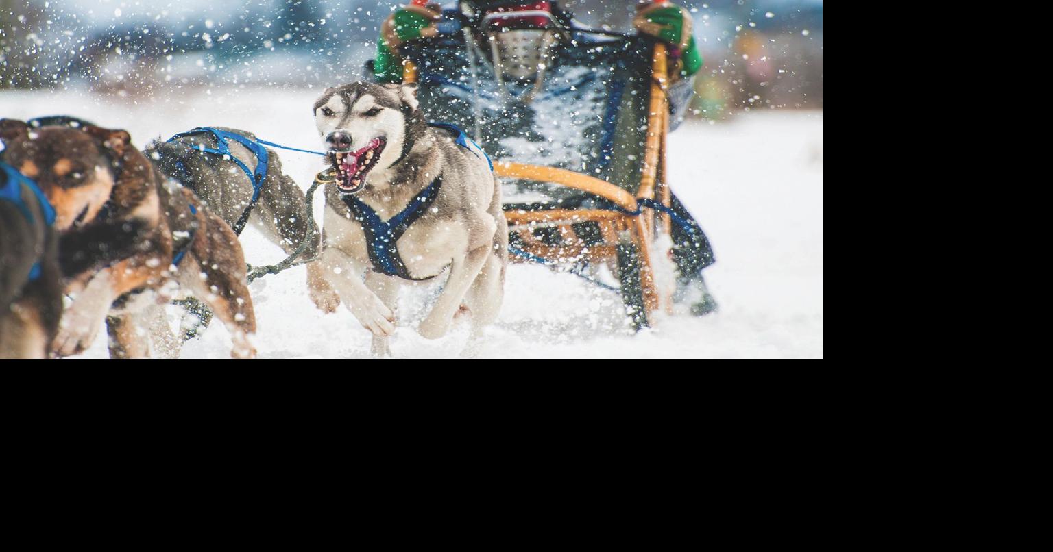 Wright County Parks & Rec Taking Winter Program Reservations | Regional ...