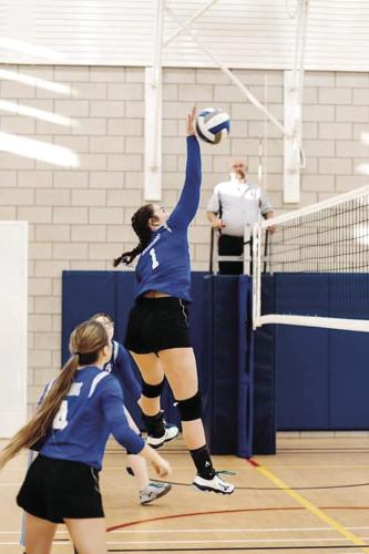 Area volleyball teams see seasons end in sections | Sports ...