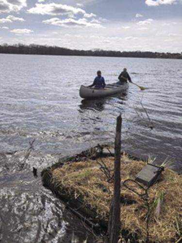 UPDATE: Loons nesting platform missing from South Twin Lake | Free ...