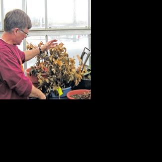 LFCHS wants to build a new and improved greenhouse | Local News ...