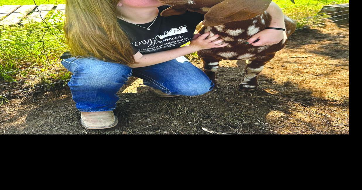 From barn yard to blue ribbons for Voge Boer Goats | Agriculture ...