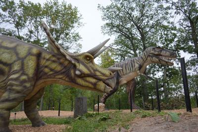 Minnesota Zoo sets summer events | Free | hometownsource.com