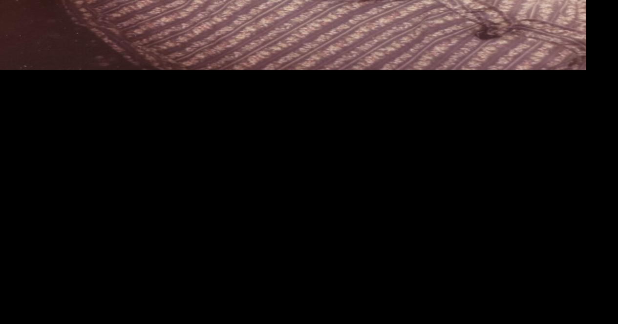 Susanne Carole Morrison | Obituaries | hometownsource.com