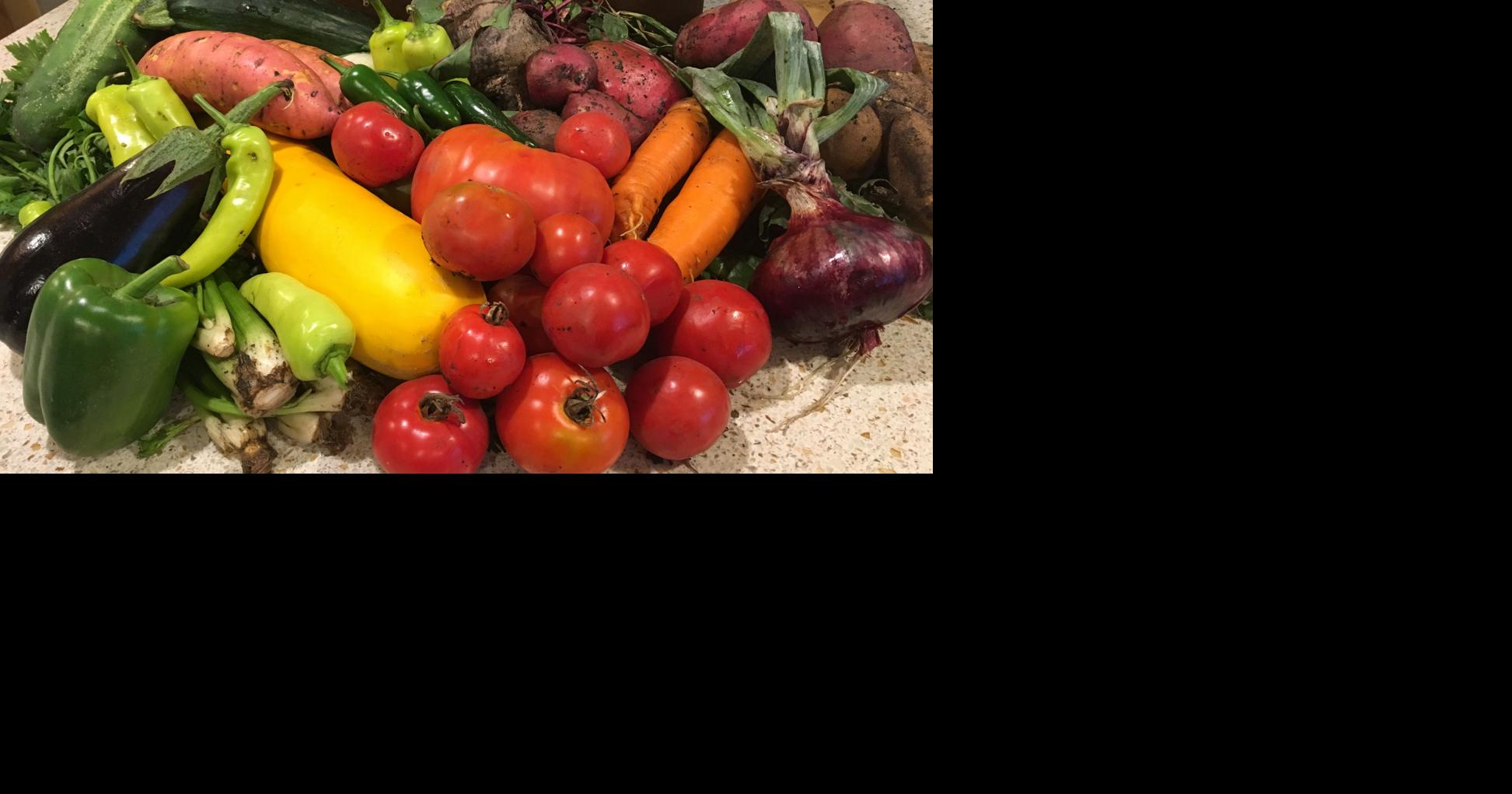 From garden to food shelf: Help Center seeks veggie donations ...