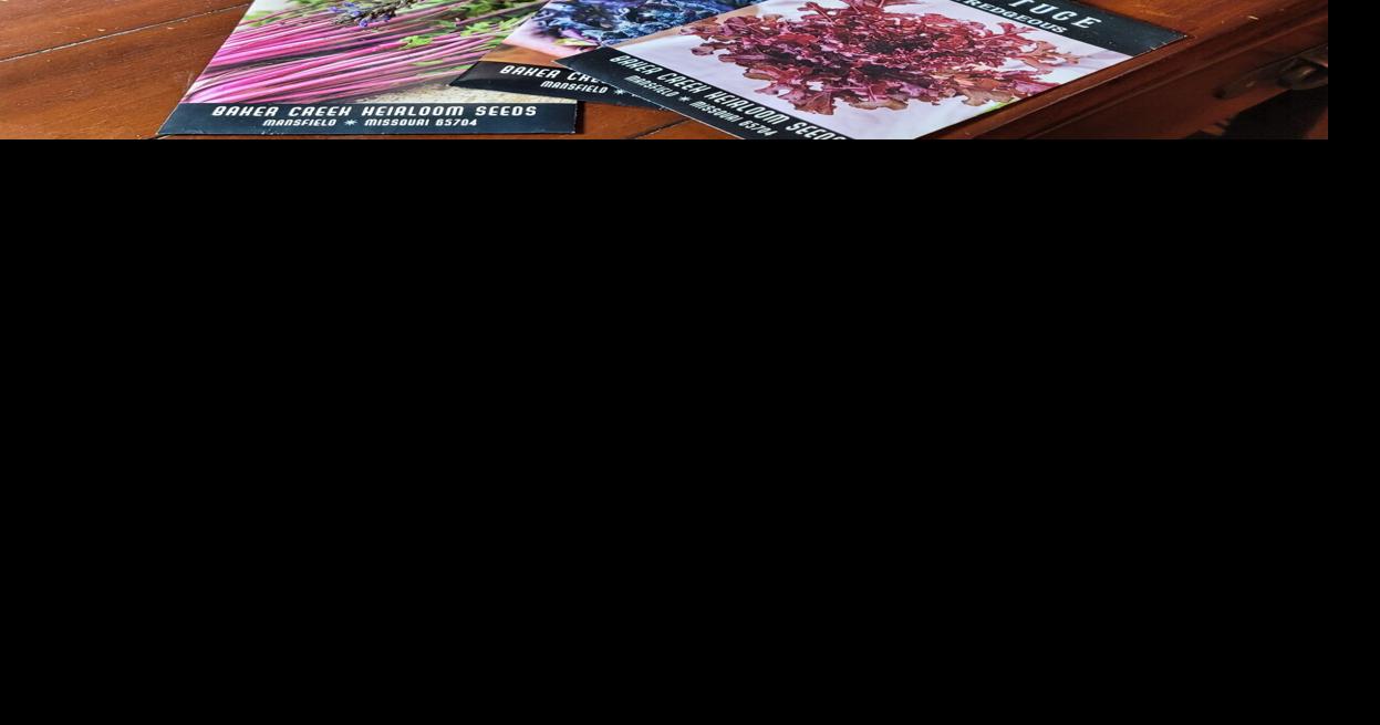 COLUMN: Growing your greens indoors in Minnesota | Local News ...