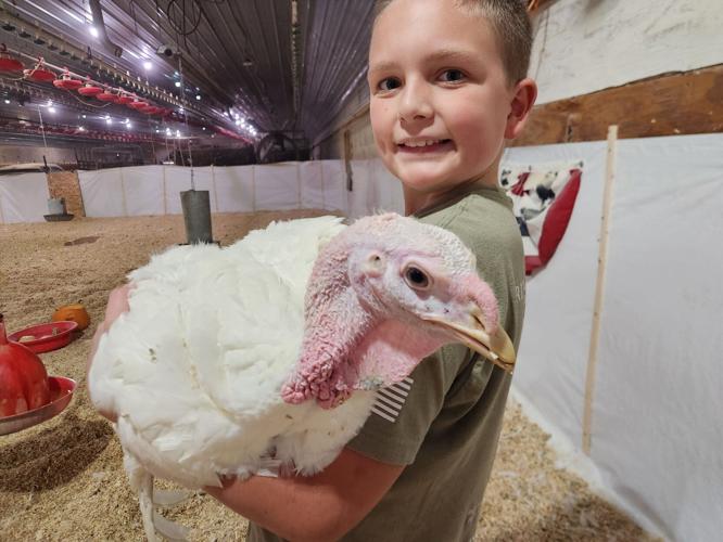 Presidential turkeys to serve as special guests at Farmamerica Turkey ...