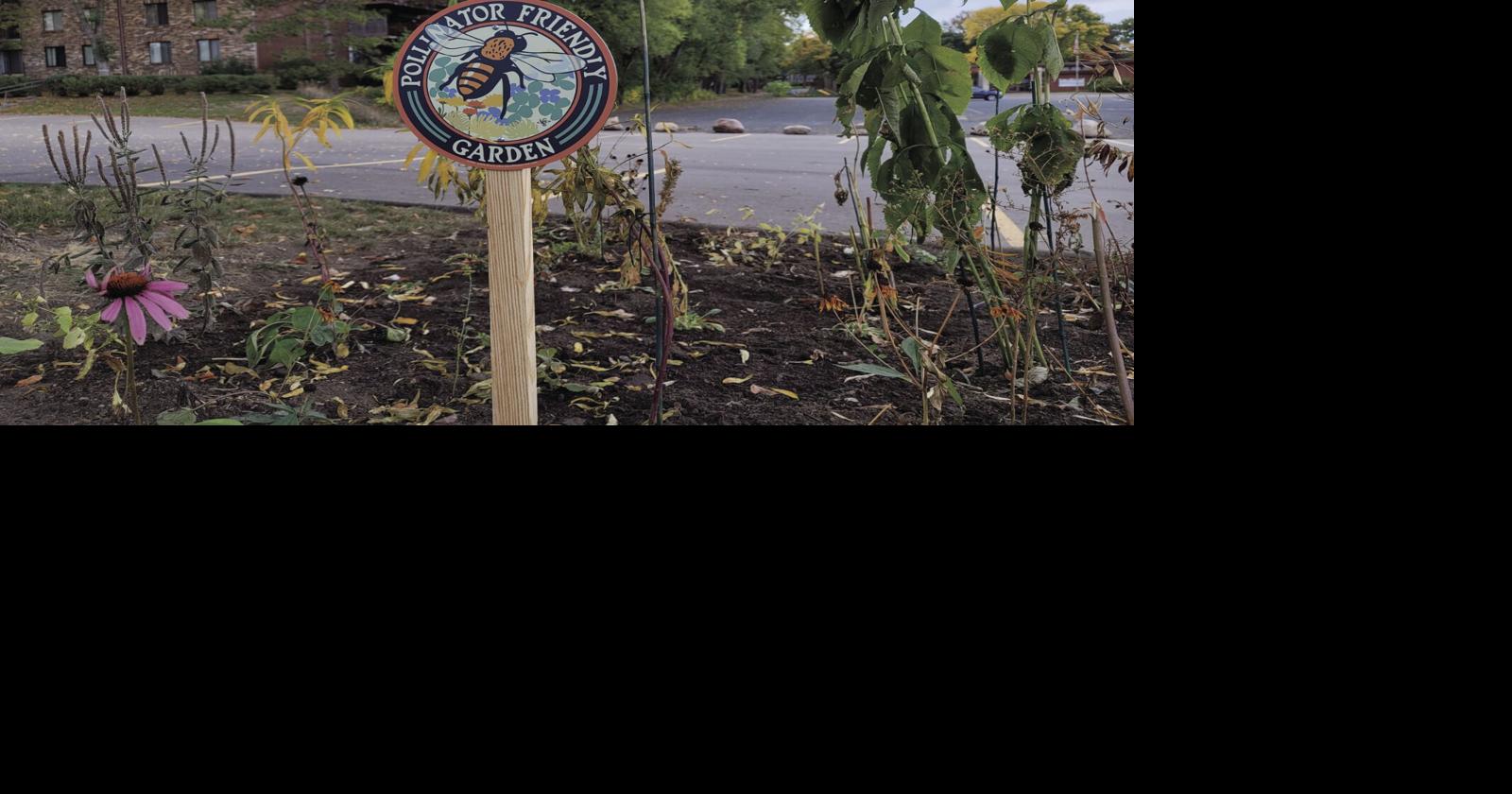 Hopkins church makes it a mission to care for creation through ...