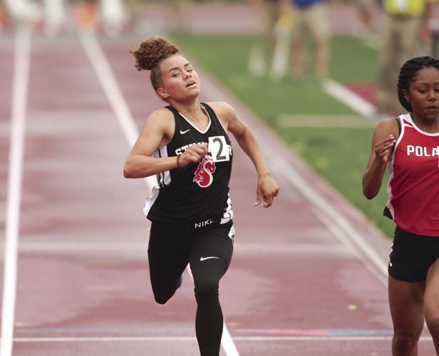 Girls track and field: Hale places at state in pole vault | Free ...