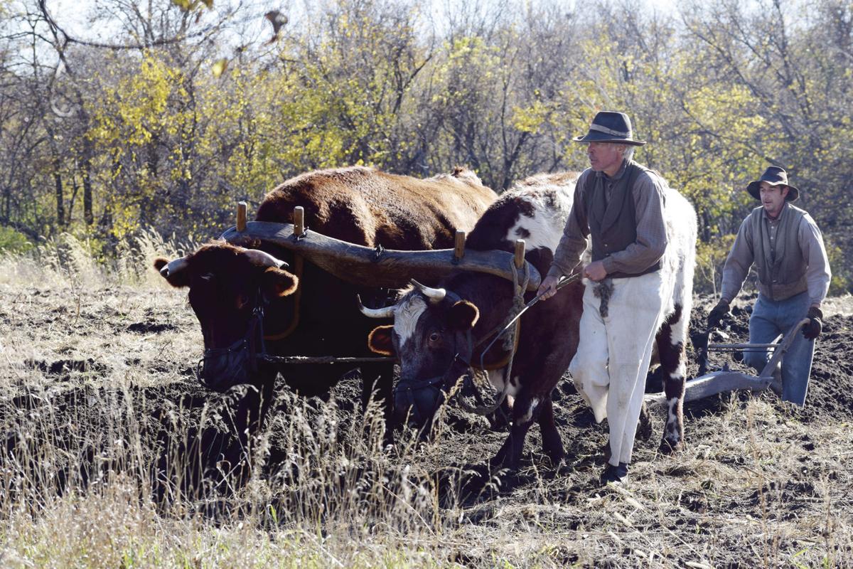 History, crops harvested at Oliver Kelley Farm | Local News ...