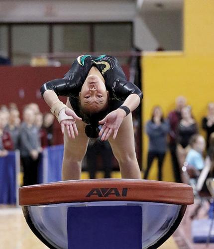 Neu, Champlin Park gymnasts excel at state meet | | hometownsource.com