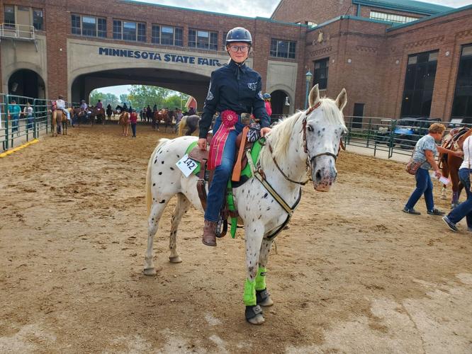 Kavanaughs’ main focus is ponies when showing at the fair | Morrison ...