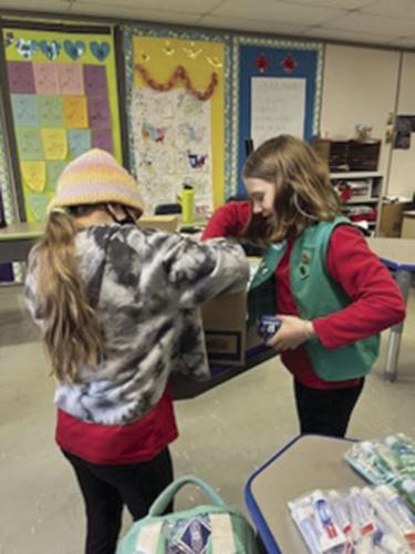 Minnetonka Girl Scout Troop wins “highest award” | | hometownsource.com