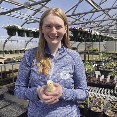 Growth continues for Minnesota FFA | Local News | hometownsource.com