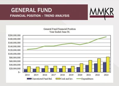 ISD 728 receives an unmodified opinion for 2022-23 audit | Elk River ...