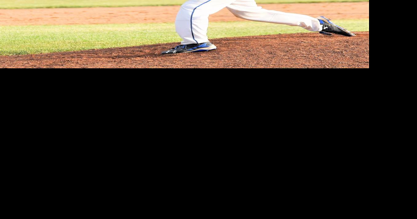 Hamel Hawks soar past .500 mark with wins | Sun Sailor | hometownsource.com