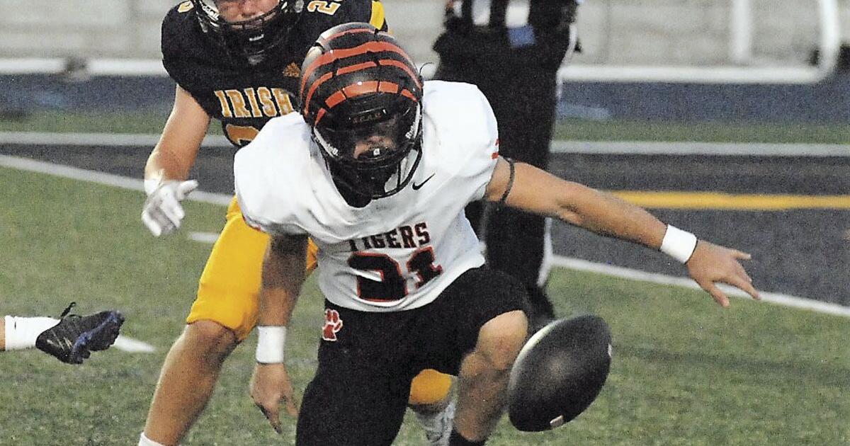 Tigers make their lead stand up | Sports | hometownsource.com